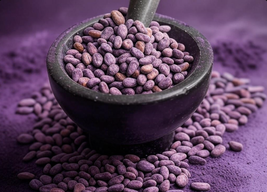 Shop High Flavanol Cocoa Powder from Vital Purple™